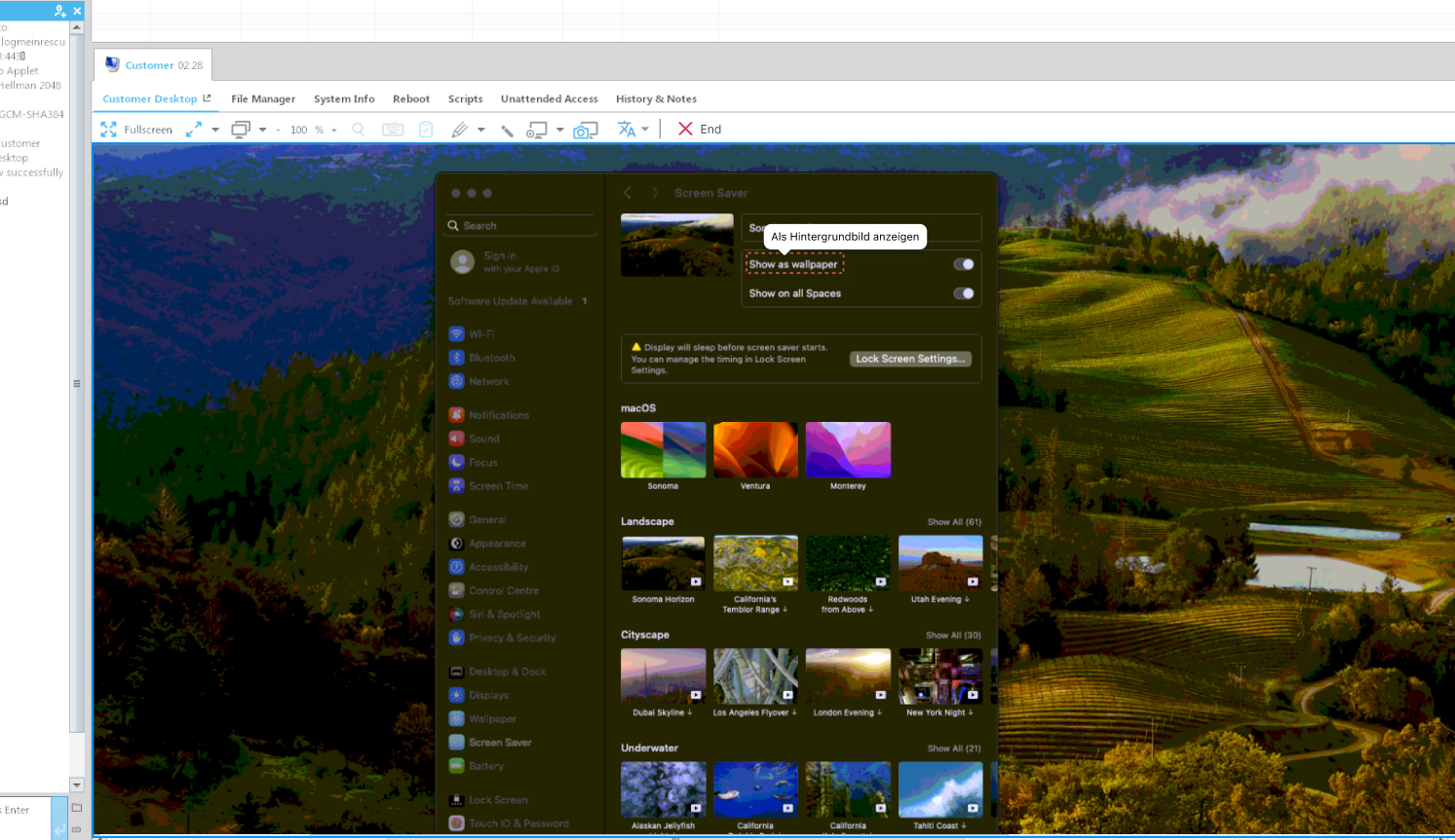 About screen translation - Rescue Support